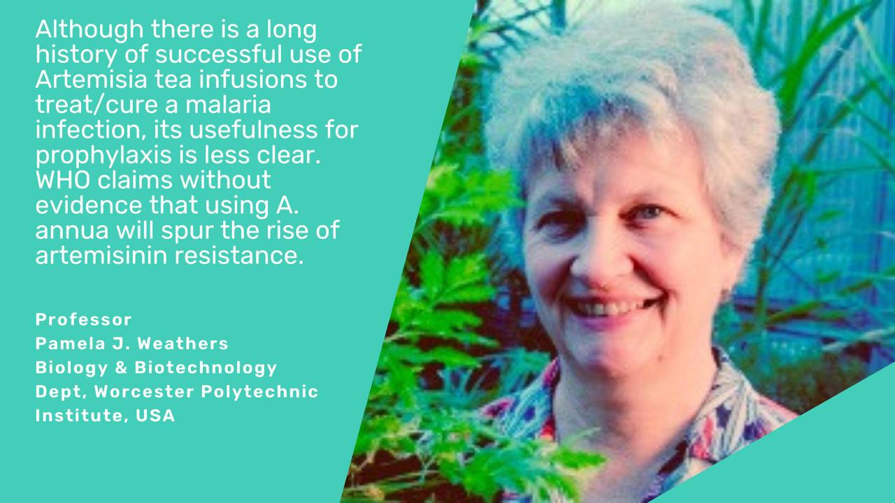 Interview with Prof. Pamela Weathers - STOP GENE DRIVES